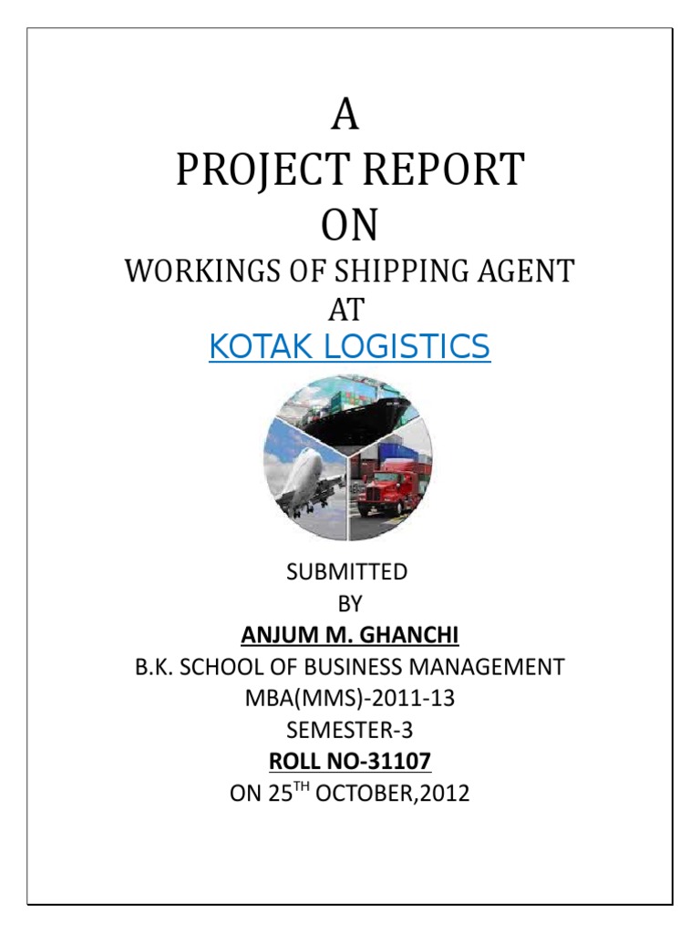Anjum Project Report | PDF | Containerization | Cargo