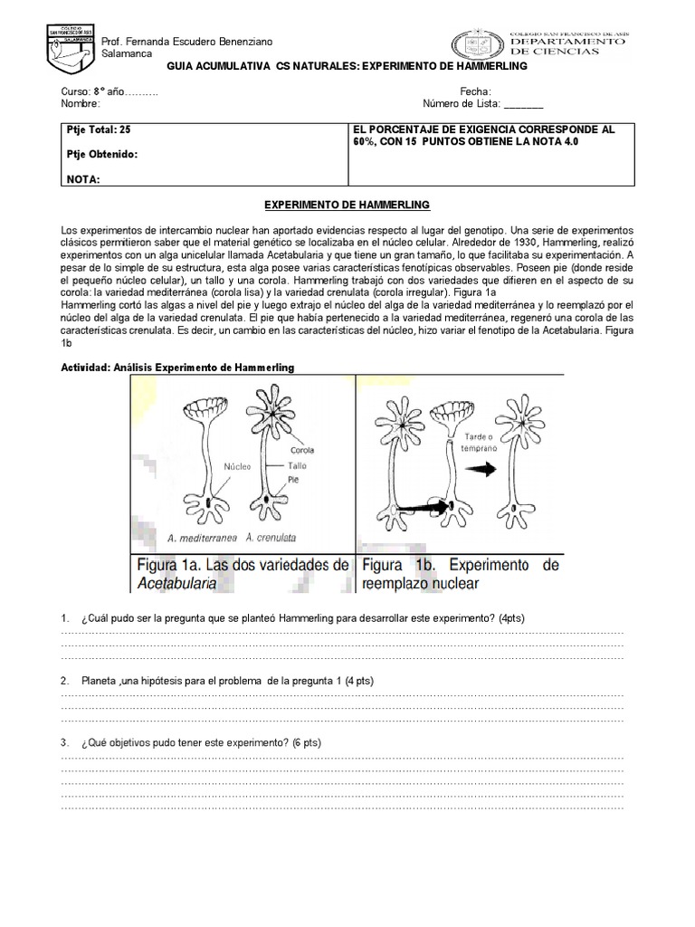 Experimento de Hammerling en Acetabularia | PDF | Nucleo celular | Biología