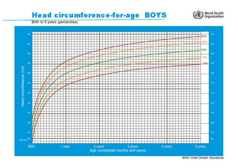 Head Circumference-For-Age BOYS: Birth To 5 Years (Percentiles) | PDF