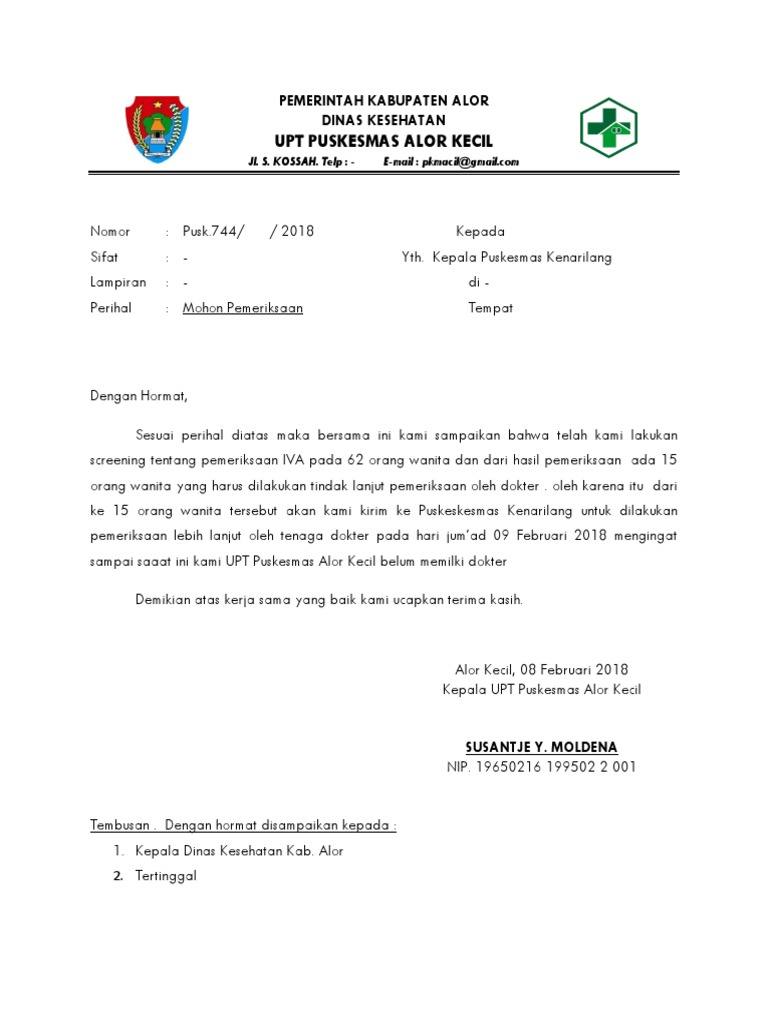 Surat Pemberitahuan Pemeriksaan IVA | PDF