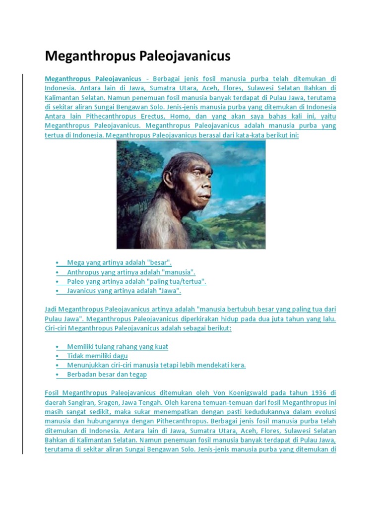 Meganthropus Paleojavanicus | PDF