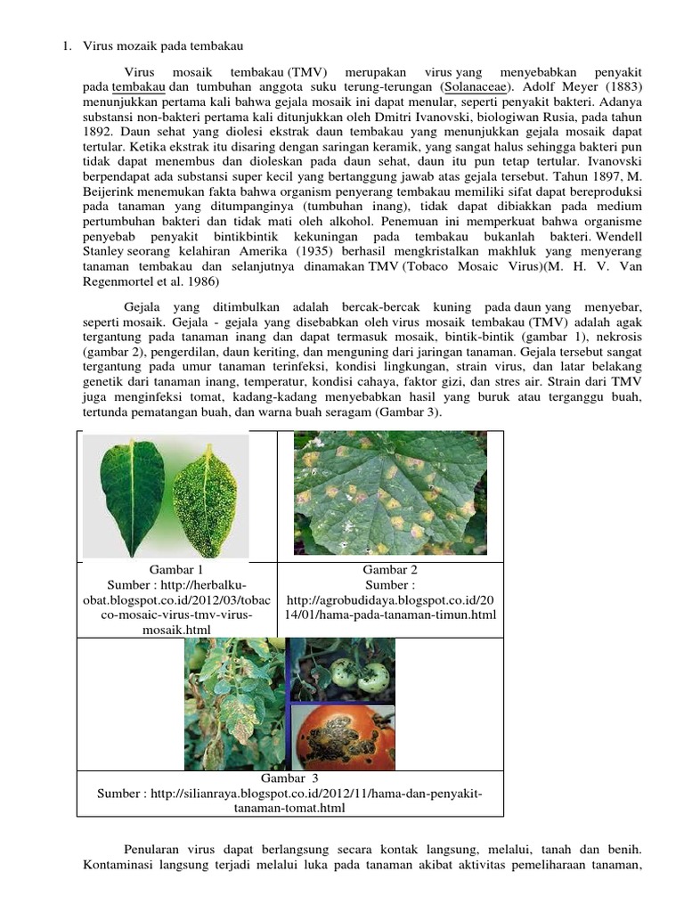 Virus Mozaik Pada Tembakau | PDF