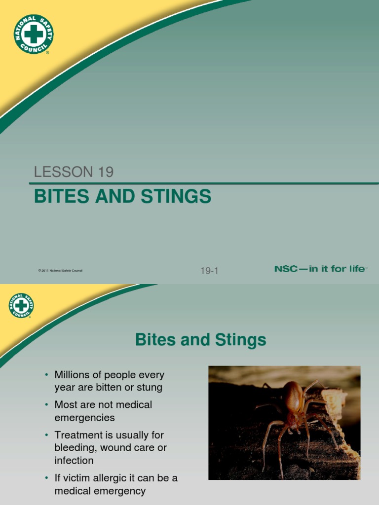 Chapter 19 Bites and Stings | PDF | Rabies | Snake