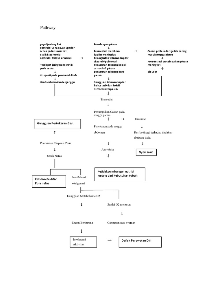 Pathway Efusi Pleura | PDF