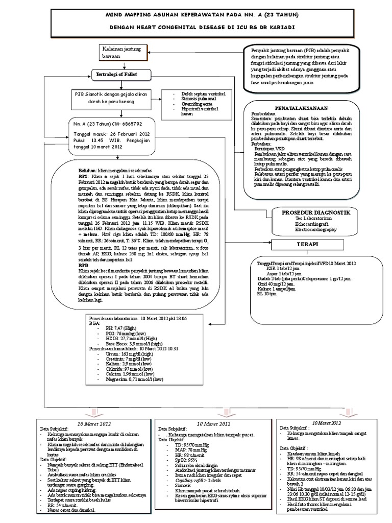 Main Mapping Icu Tof | PDF