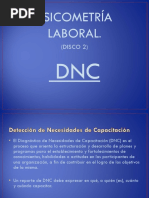 Ejemplos de DNC | PDF | Cuestionario | Cliente