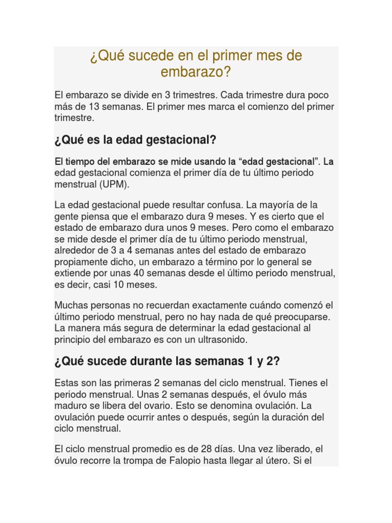 Etapas Del Embarazo Por Trimestre y Fotos | PDF | Ciclo menstrual | El ...