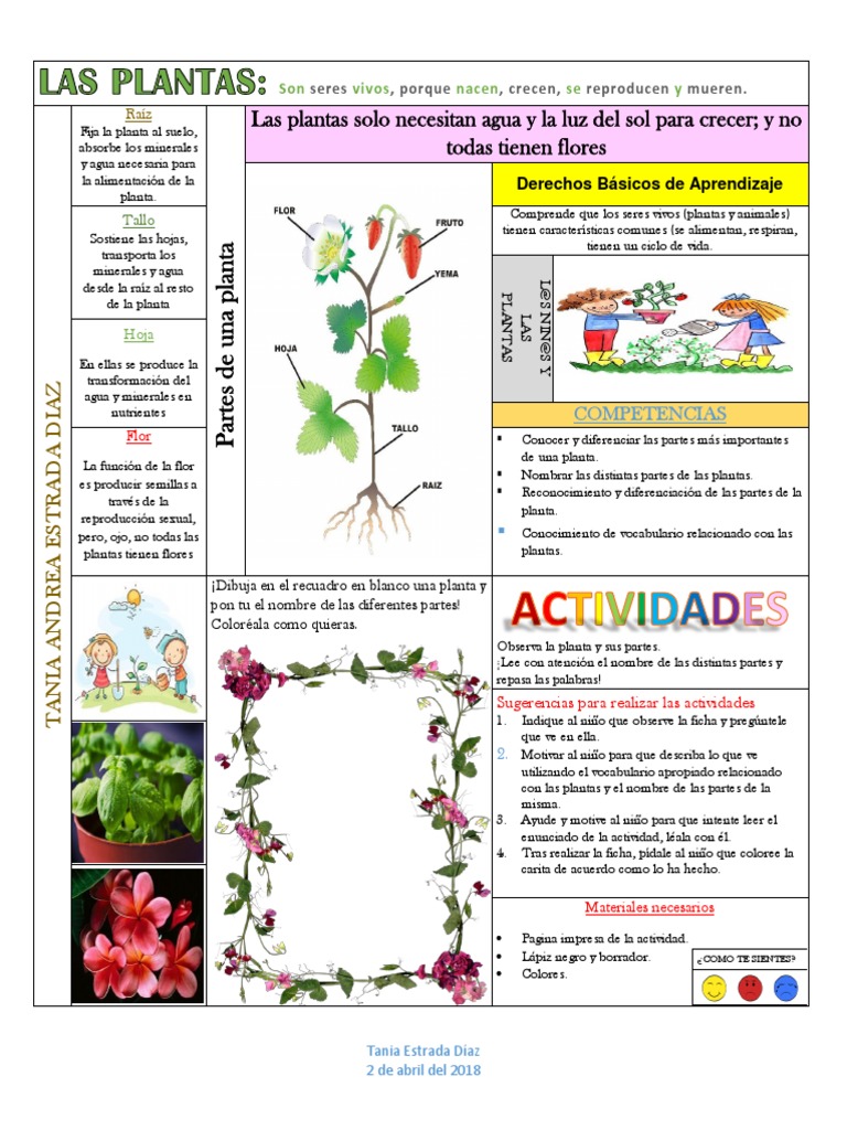 LAS PLANTAS Y Proyectos pedagógicos de aula | PDF | Evaluación | Plan ...