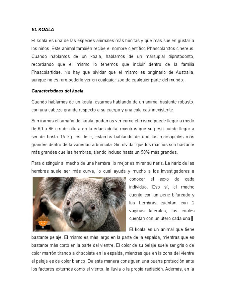 El Koala | PDF | Coala | Organismos