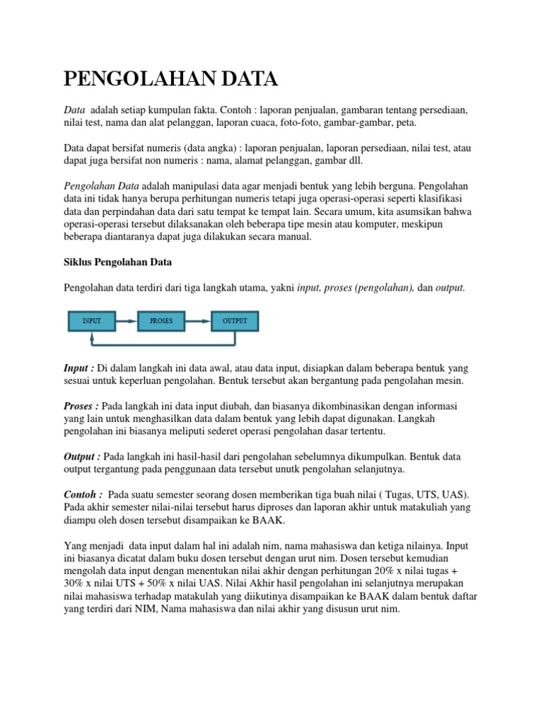 Pengolahan Data | PDF