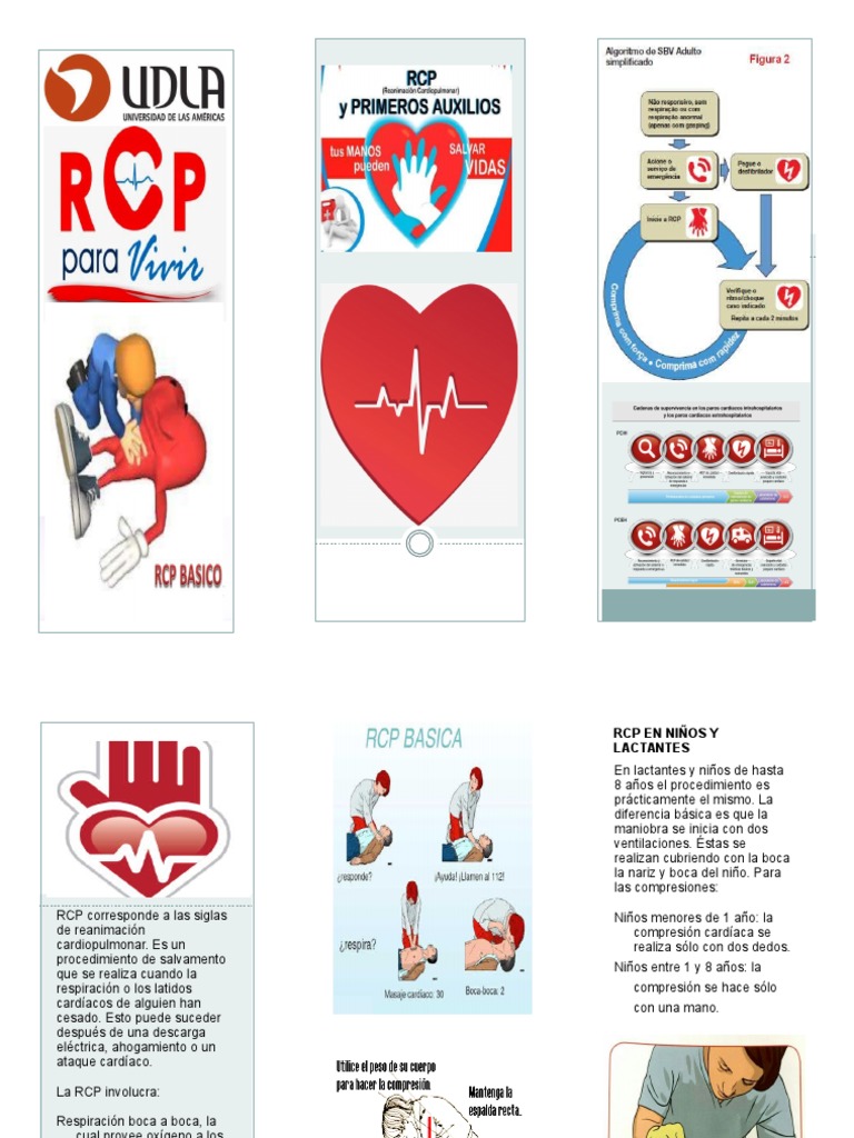 Triptico RCP | PDF