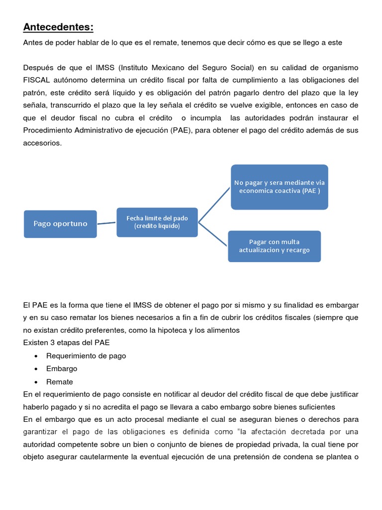 El procedimiento administrativo de ejecución (PAE) y sus etapas de ...