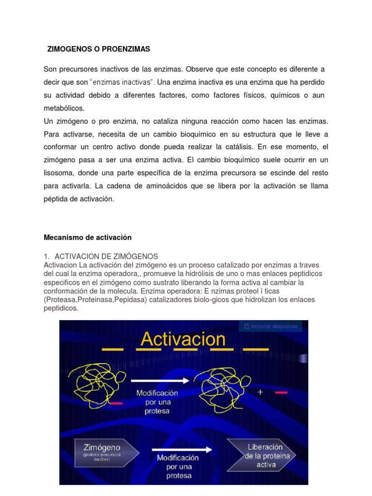 Zimogenos o Proenzimas | PDF