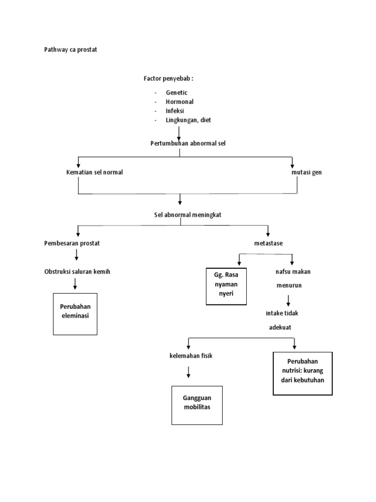 Pathway CA Prostat | PDF