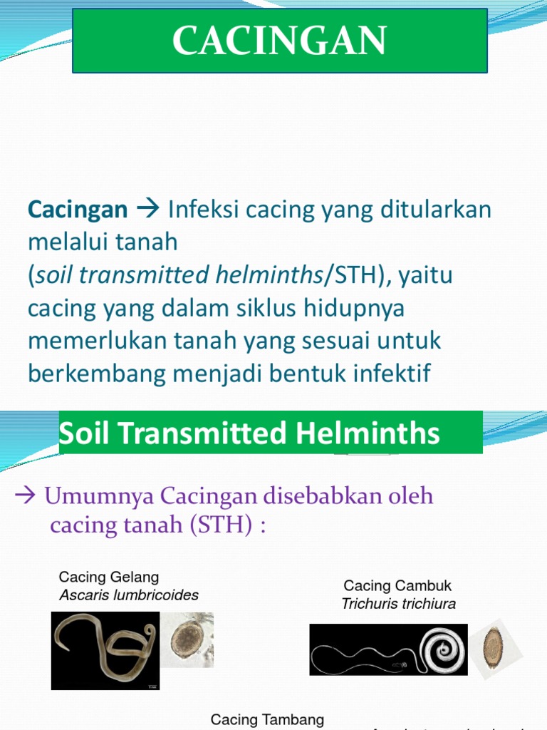 Kecacingan | PDF