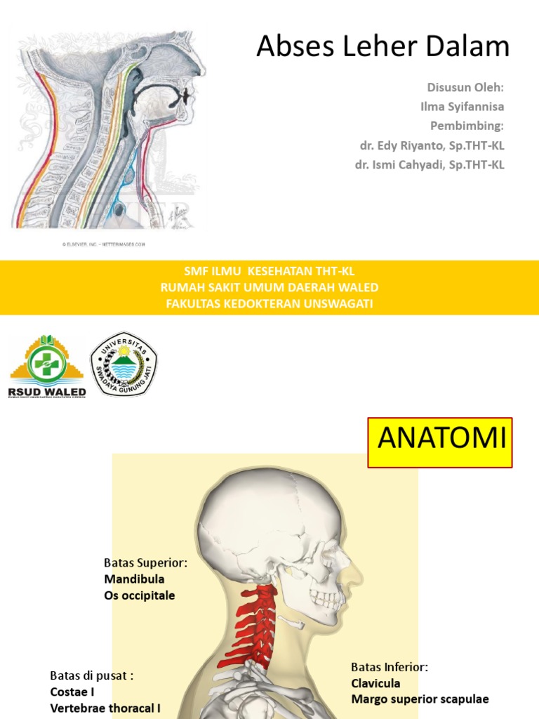 Abses Leher Dalam | PDF