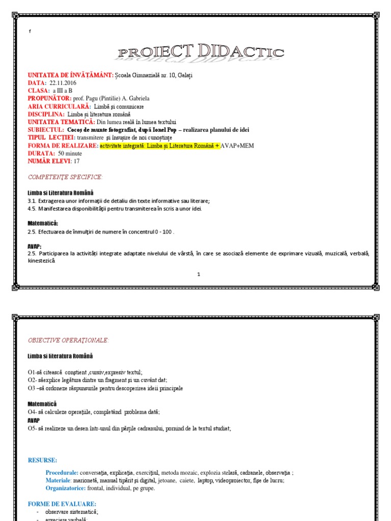 Proiect Grad II Romana III B Pagu Gabriela | PDF