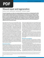 Bates-Jensen Wound Assessment Tool (BWAT) | PDF | Skin | Edema