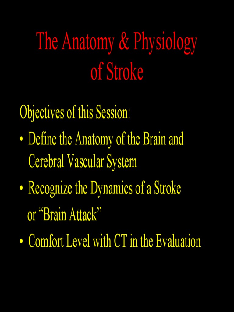 01strok & Anatomy | PDF | Stroke | Ischemia