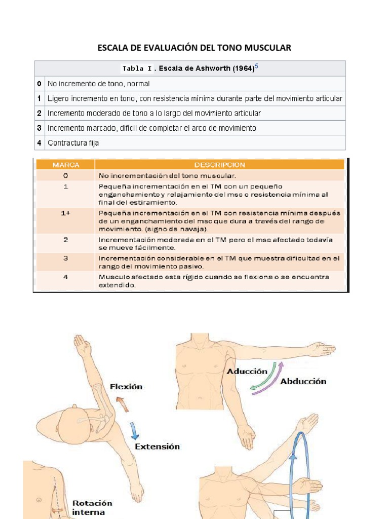 Escala de Evaluación del Tono Muscular | PDF