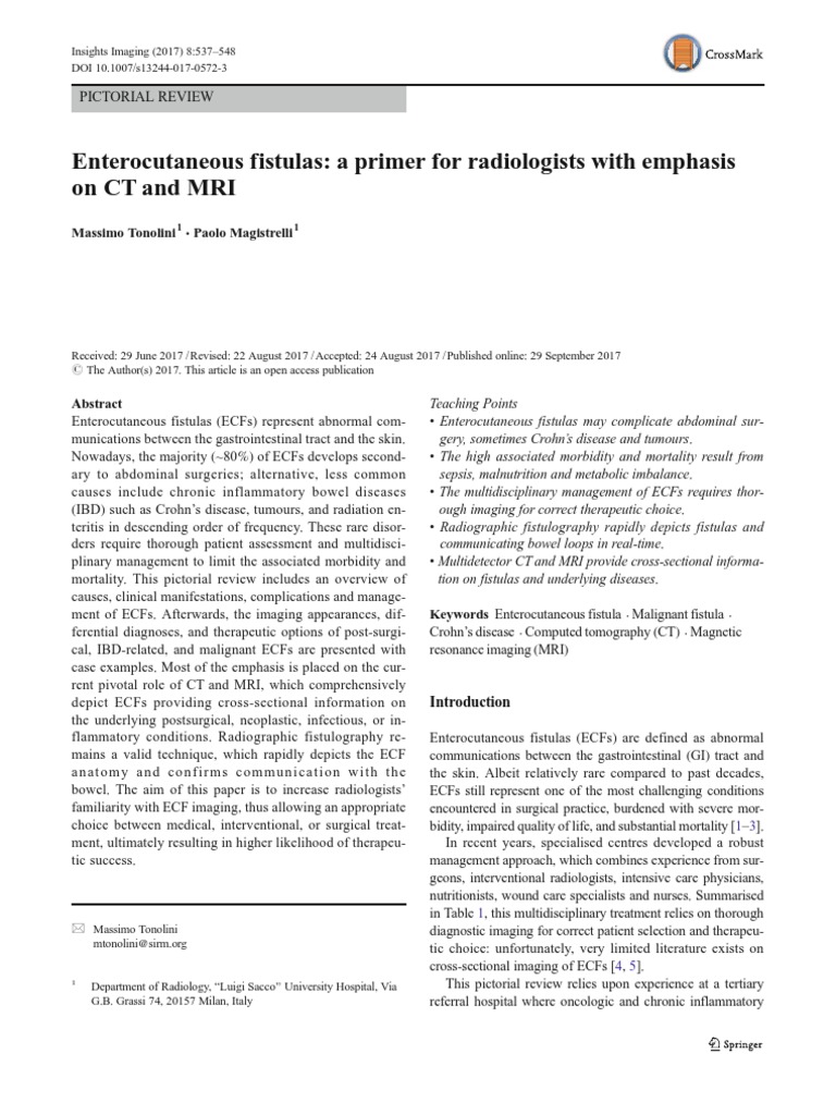 Enterocutaneous Fistulas: A Primer For Radiologists With Emphasis On CT ...
