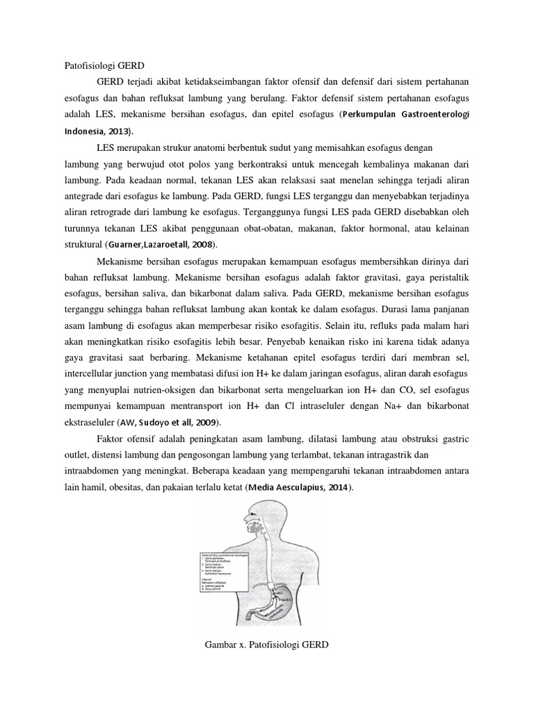 Patofisiologi GERD | PDF