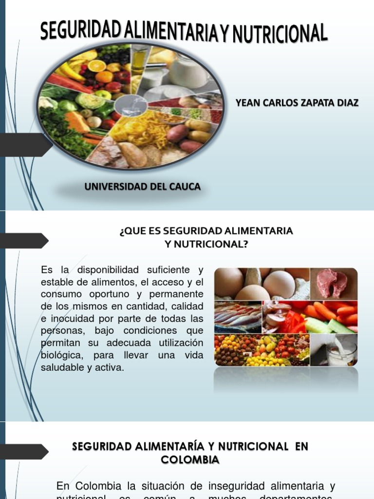 Seguridad Alimentaria y Nutricional | Descargar gratis PDF | Seguridad ...