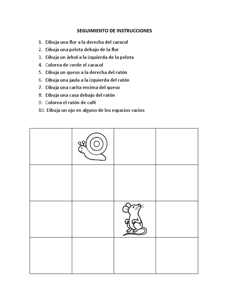 Seguimiento de Instrucciones