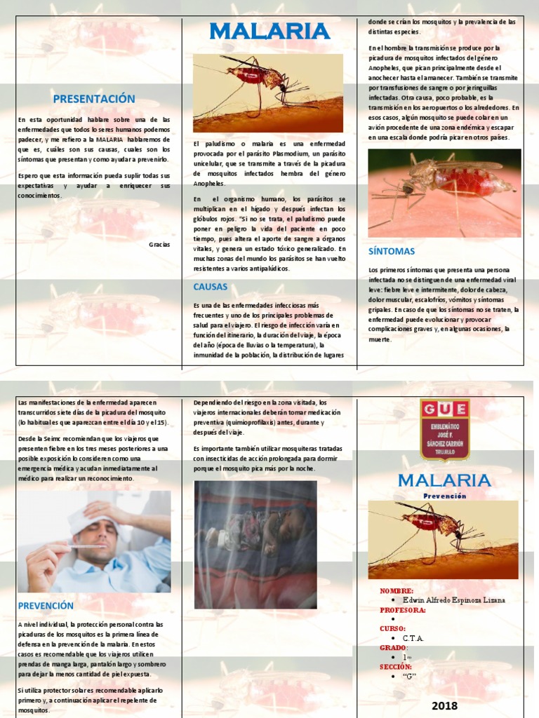 Triptico Malaria | PDF | Malaria | Rtt