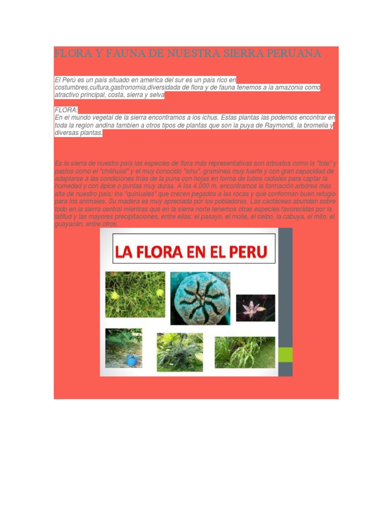 Flora y Fauna de Nuestra Sierra Peruana | PDF | Flora | Perú