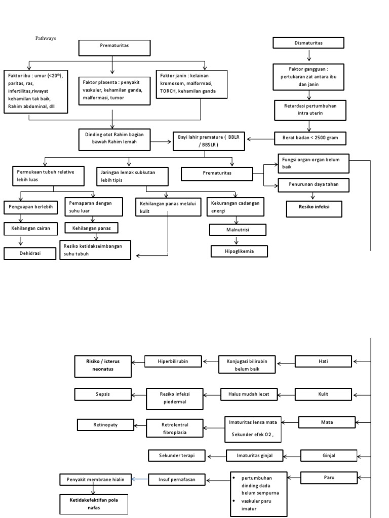 Pathways BBLR Nanda 2015 | PDF