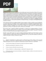 El Modelo Biologicista | PDF | Biología | Psicopatología
