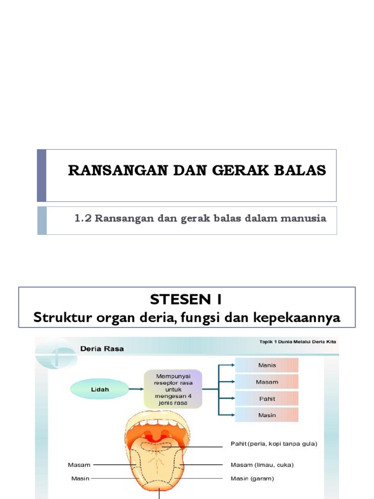 1.2 Rangsangan Dan Gerak Balas Dalam Manusia | PDF