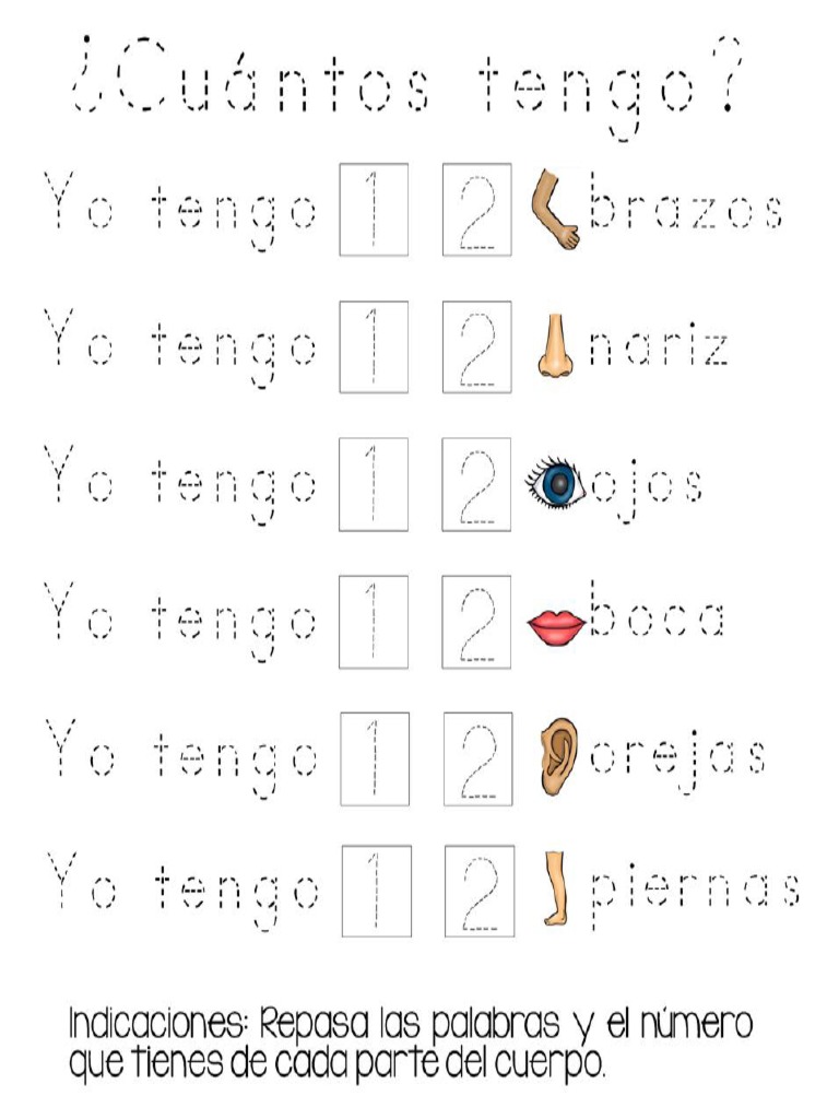 Contar Partes Cuerpo Meep | PDF