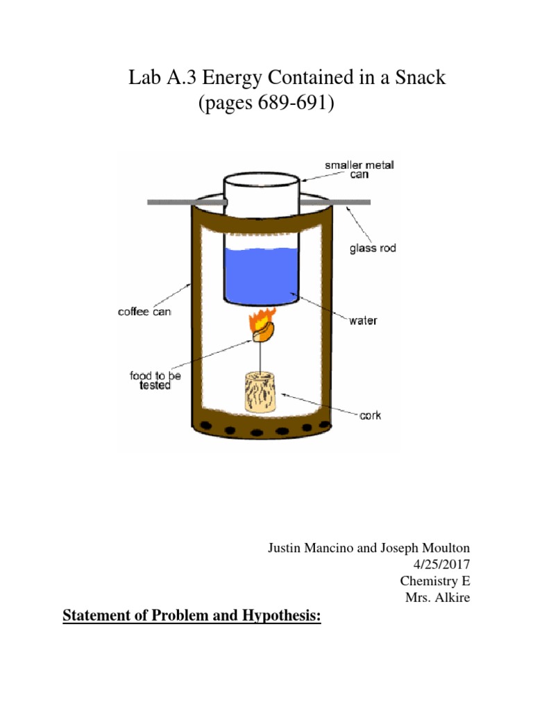 Lab A.3 Energy Contained in A Snack (Pages 689-691) : Statement of ...