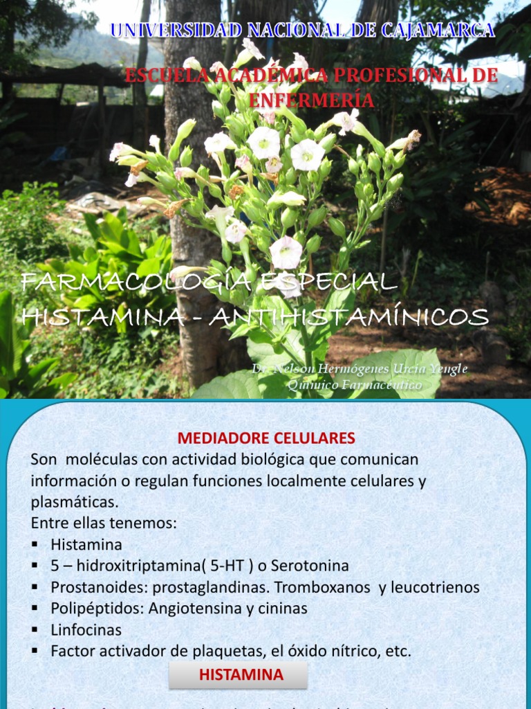 Histamina y Antihistamínicos: Funciones y Receptores | PDF | Alergia ...