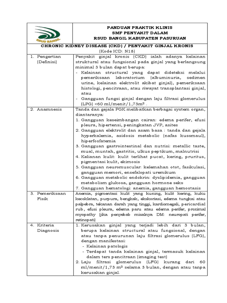 PPK CKD - Penyakit Ginjal Kronik | PDF