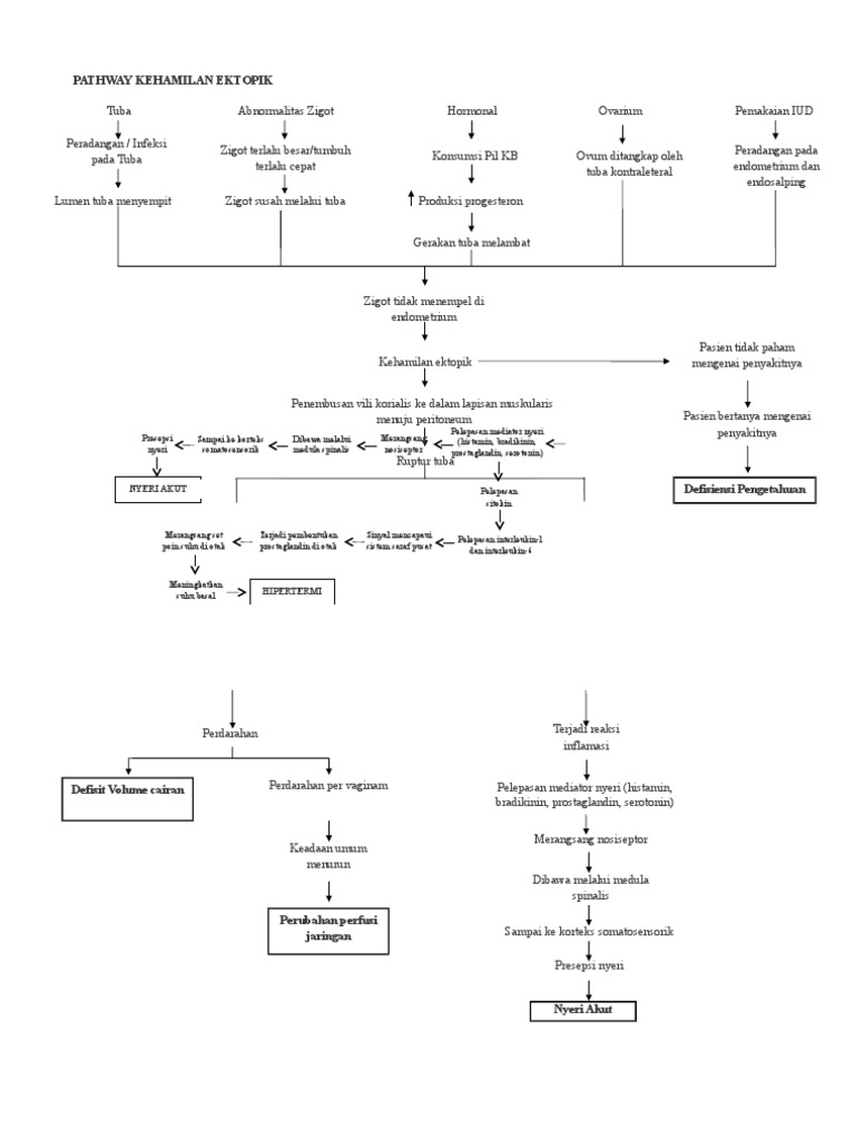 Pathway KET Edit | PDF