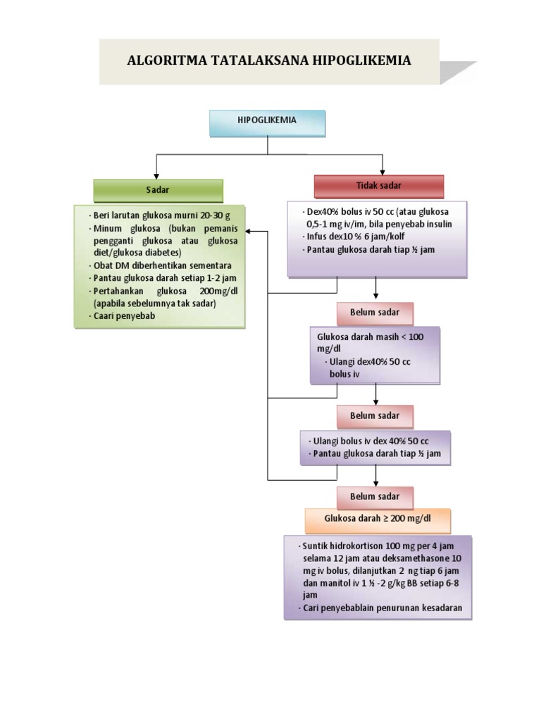 Algoritma Hipoglikemia | PDF