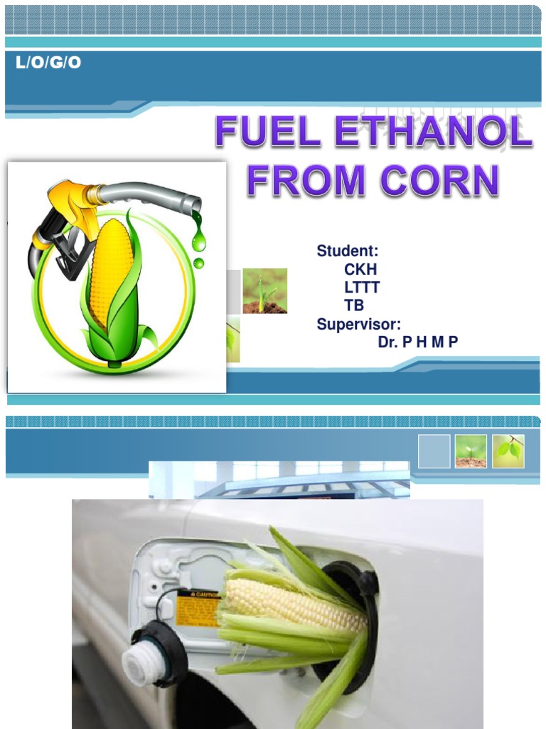 Fuel Ethanol From Corn | PDF | Food And Drink | Food Ingredients