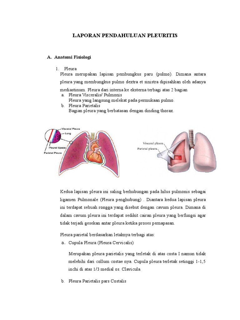 LP Pleuritis | PDF
