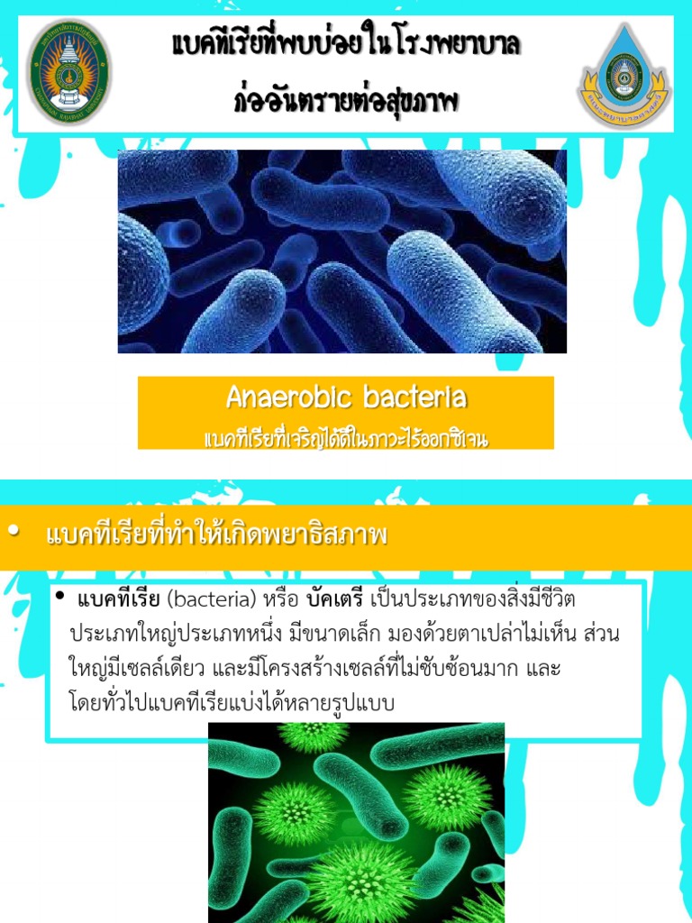 Anaerobic Bacteria | PDF