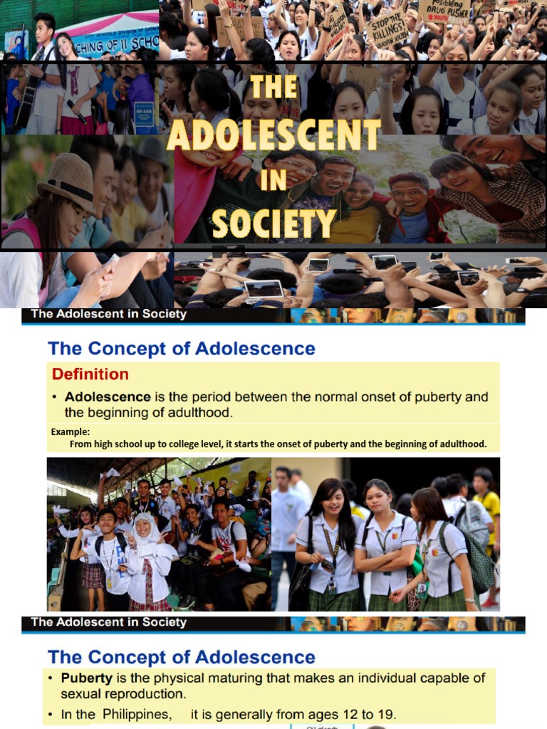 CHAPTER 5 The Adolescent in Society | PDF