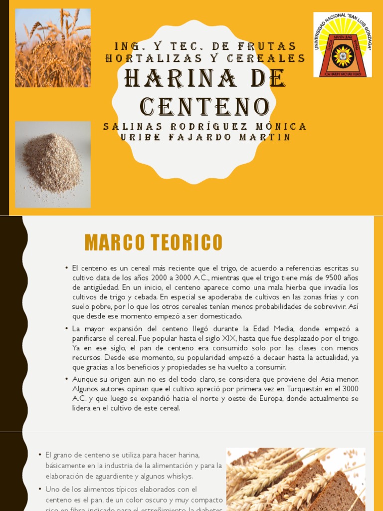Harina de Centeno | PDF | Centeno | Panes