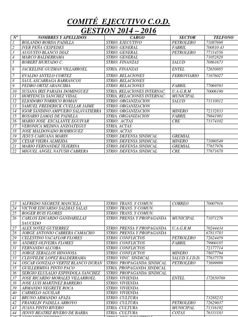 Comite Ejec. 2015-2016 Cel. | PDF