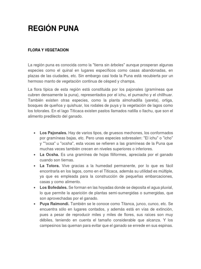 La diversa flora de la región de la puna andina, hogar de pajonales ...