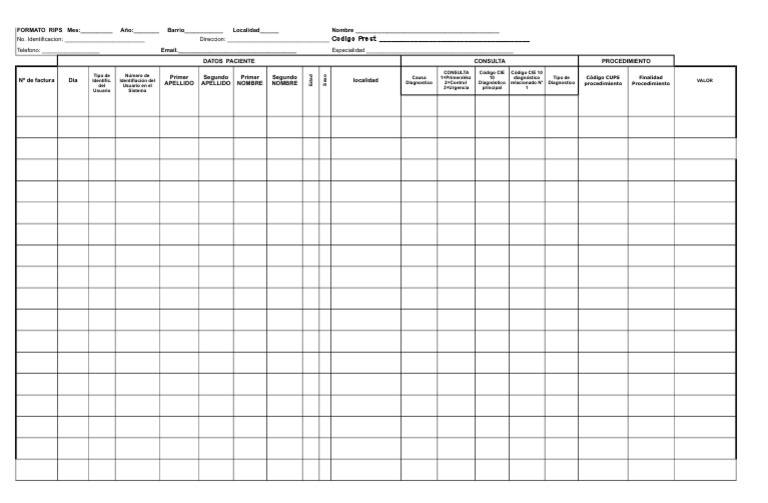 Formato Rips Diligenciar en Excel | PDF | Informática | Business