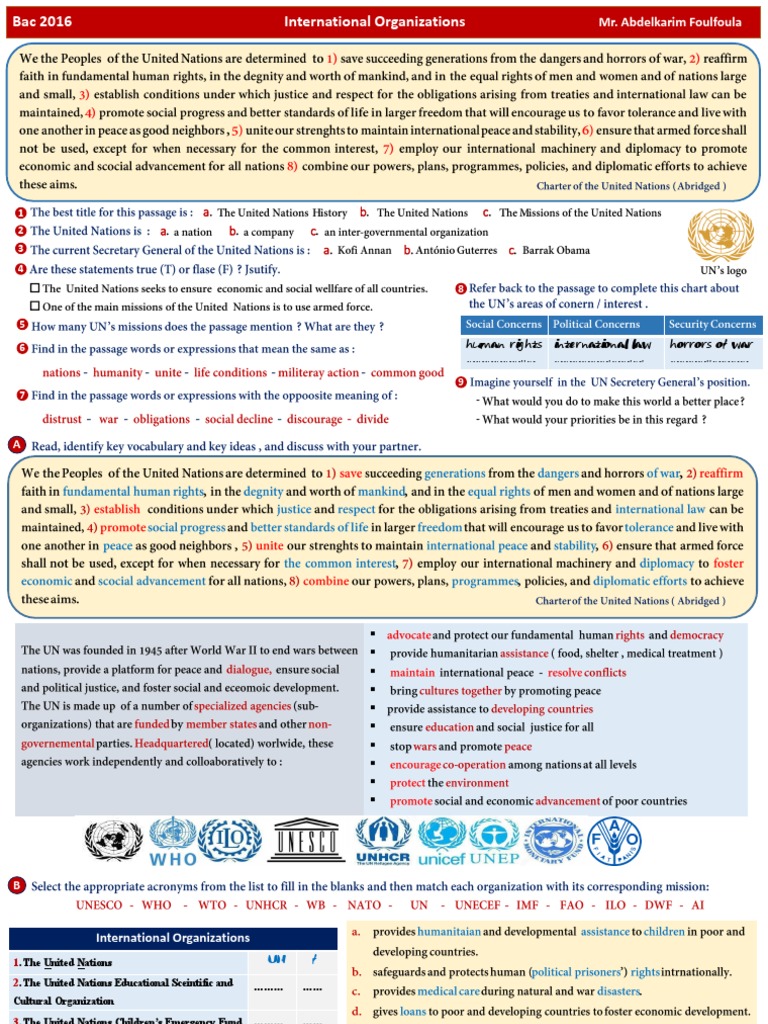 International Organizations | PDF | United Nations | International ...