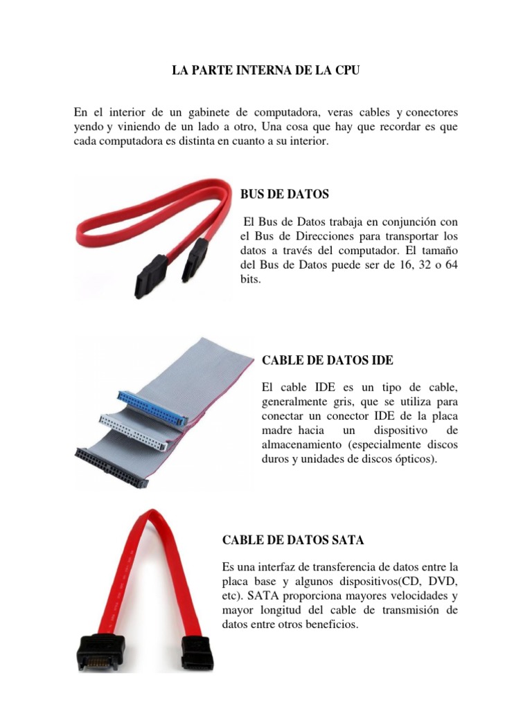 La Parte Interna de La Cpu1 | PDF | Hardware de la computadora | Almacenamiento de datos de la ...