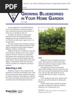 LSU-Ag Planting Guide | PDF | Vegetables | Fertilizer